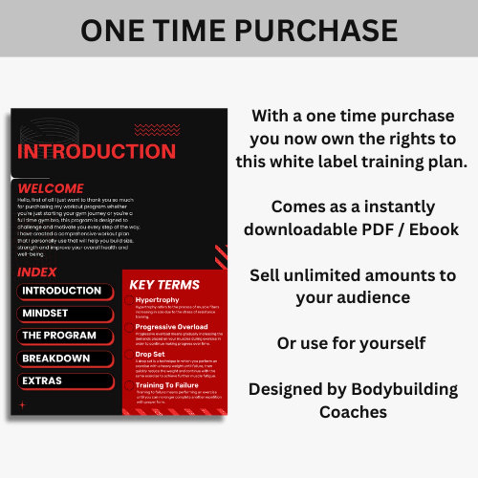 Workout Plan PDF White Label Training Plan, Push Pull Legs Training ...
