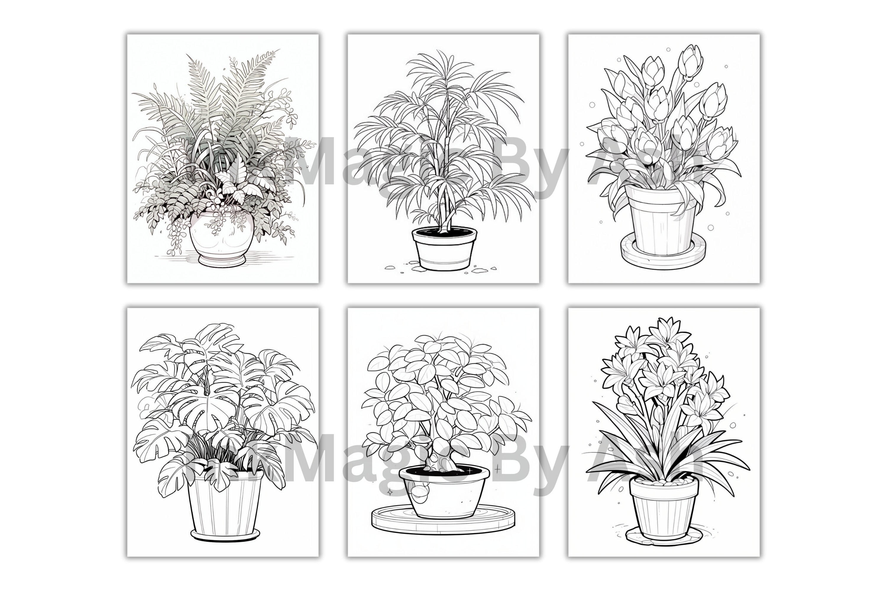 Houseplant Coloring Pages for Adults and Kids 31 Printable Adorable ...