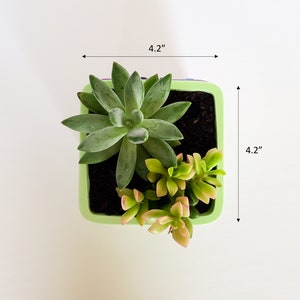 Cute Cozy Square Gaming Controller Planter | Gaming Desk Accessory ...