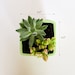 Cute Cozy Square Gaming Controller Planter | Gaming Desk Accessory ...