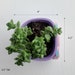 Cute Cozy Round Gaming Controller Planter | Gaming Desk Accessory ...