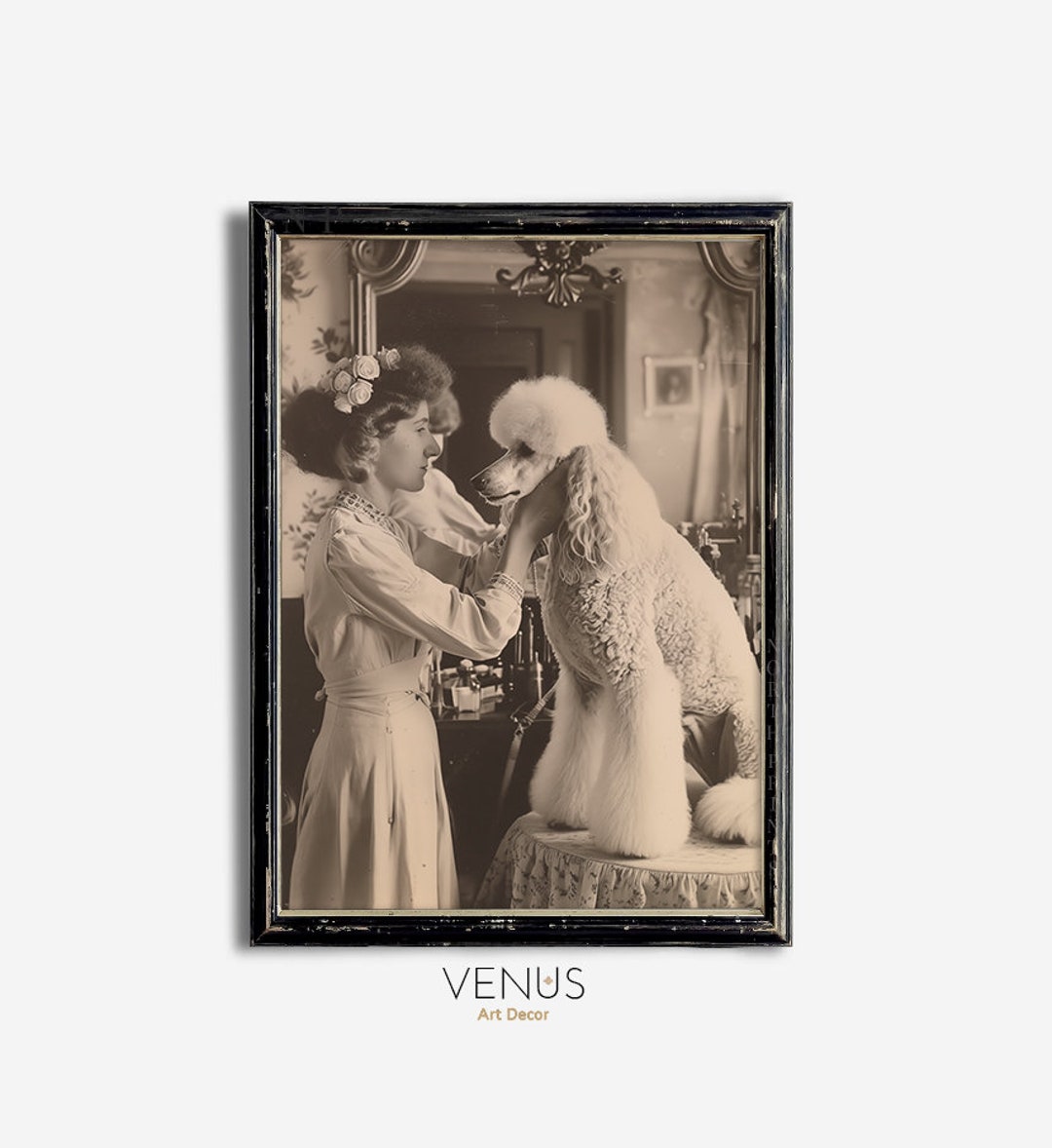 White Royal Poodle Dog and a Woman, Vintage Poodle Print, Black and ...