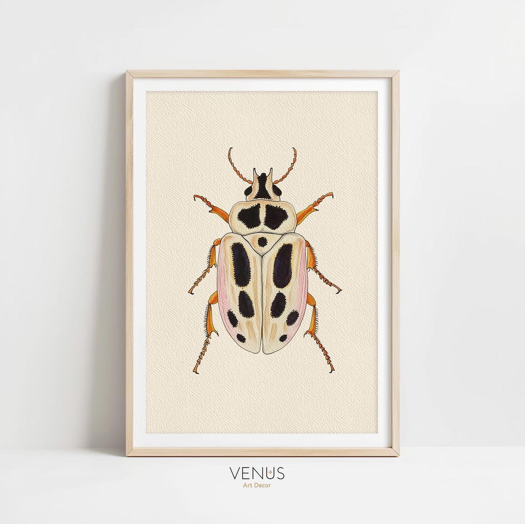 Black and Beige Beetle Art Print, Insect Illustration, Watercolor Bug ...