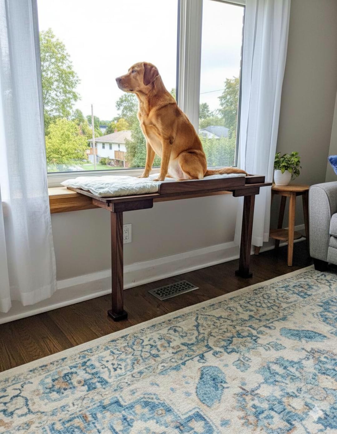 Window Perch for Large Dogs | Heavy Duty Dog Window Seat | Medium ...