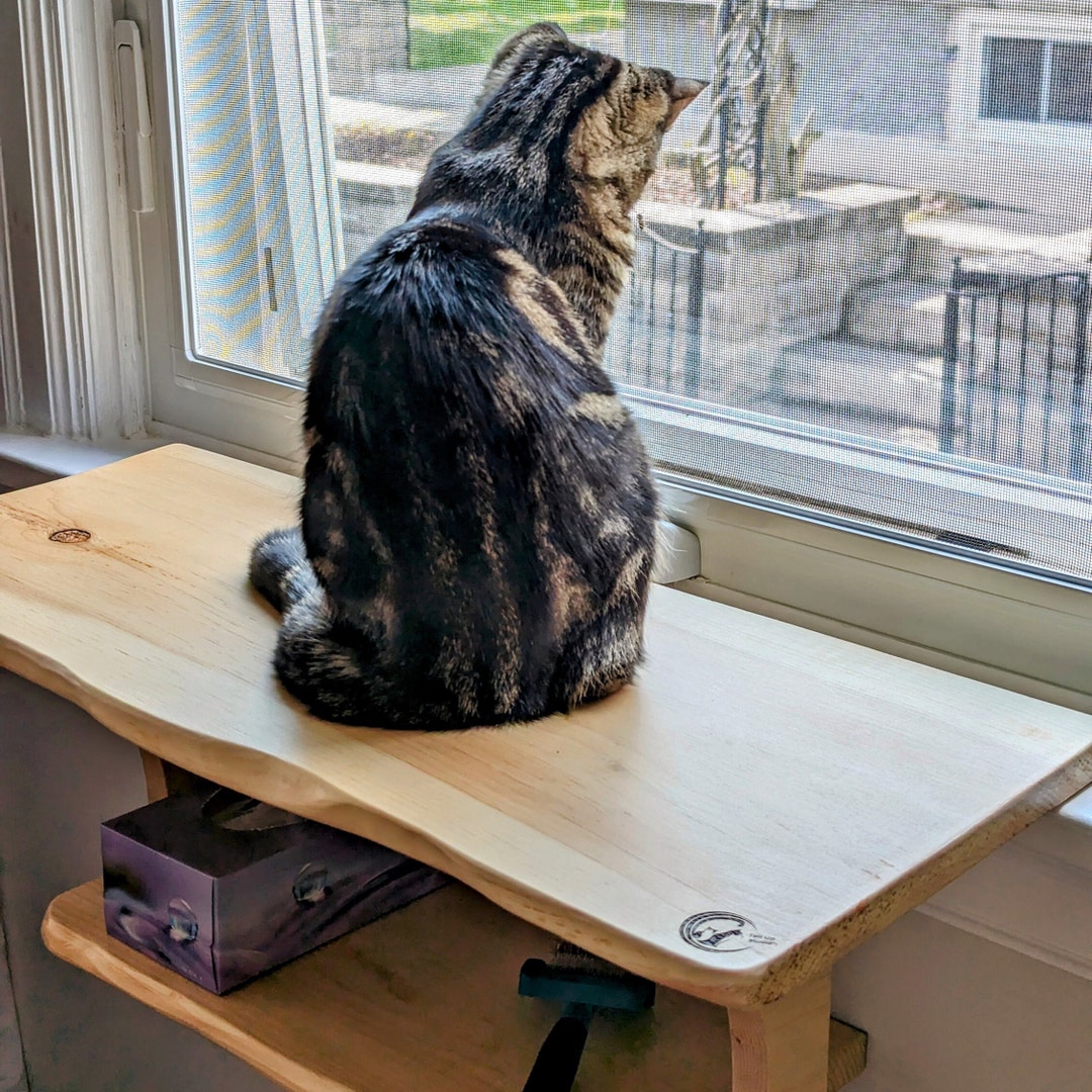 Cat Window Perch Wooden Cat Furniture Windowsill Natural Floating ...