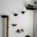Dog Window Perch Wooden Dog Furniture Windowsill Natural Shelves - Etsy