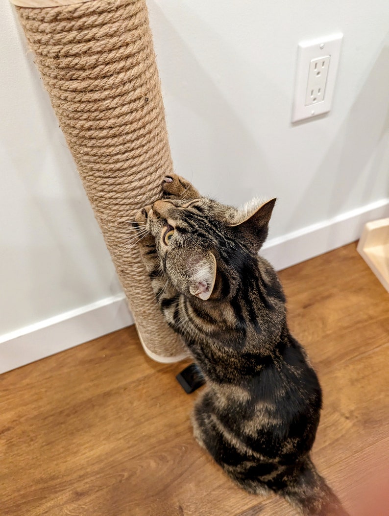 Cat Tree Furniture Wall Scratching Post Custom Modern Wooden Cat Tree ...