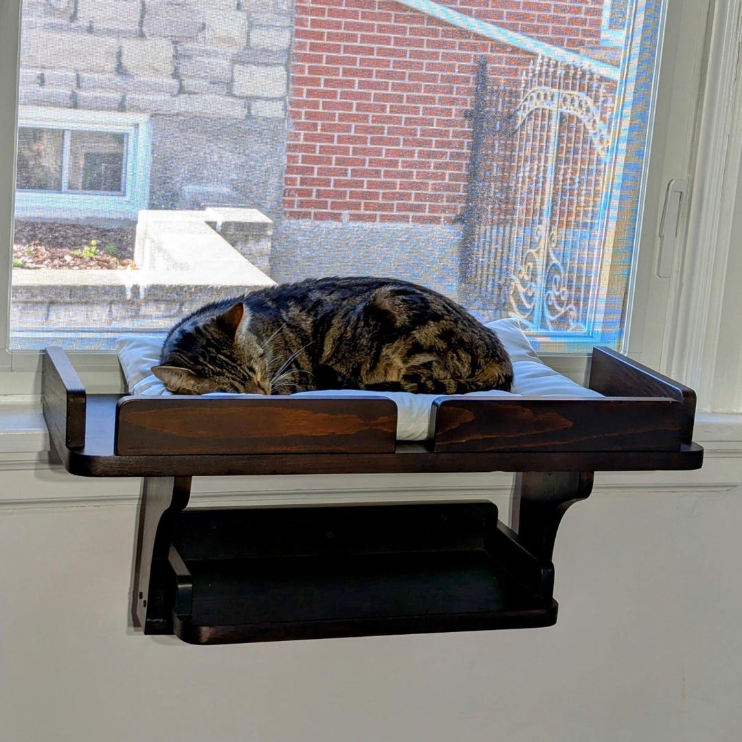 Cat Window Perch Wooden Pet Furniture Windowsill Natural Shelves for ...