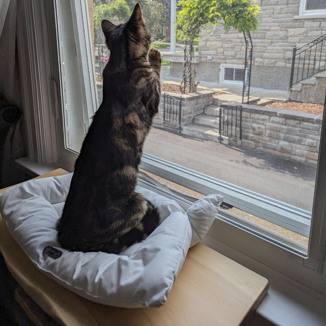 Cat Window Perch Wooden Cat Furniture Windowsill Natural Floating ...