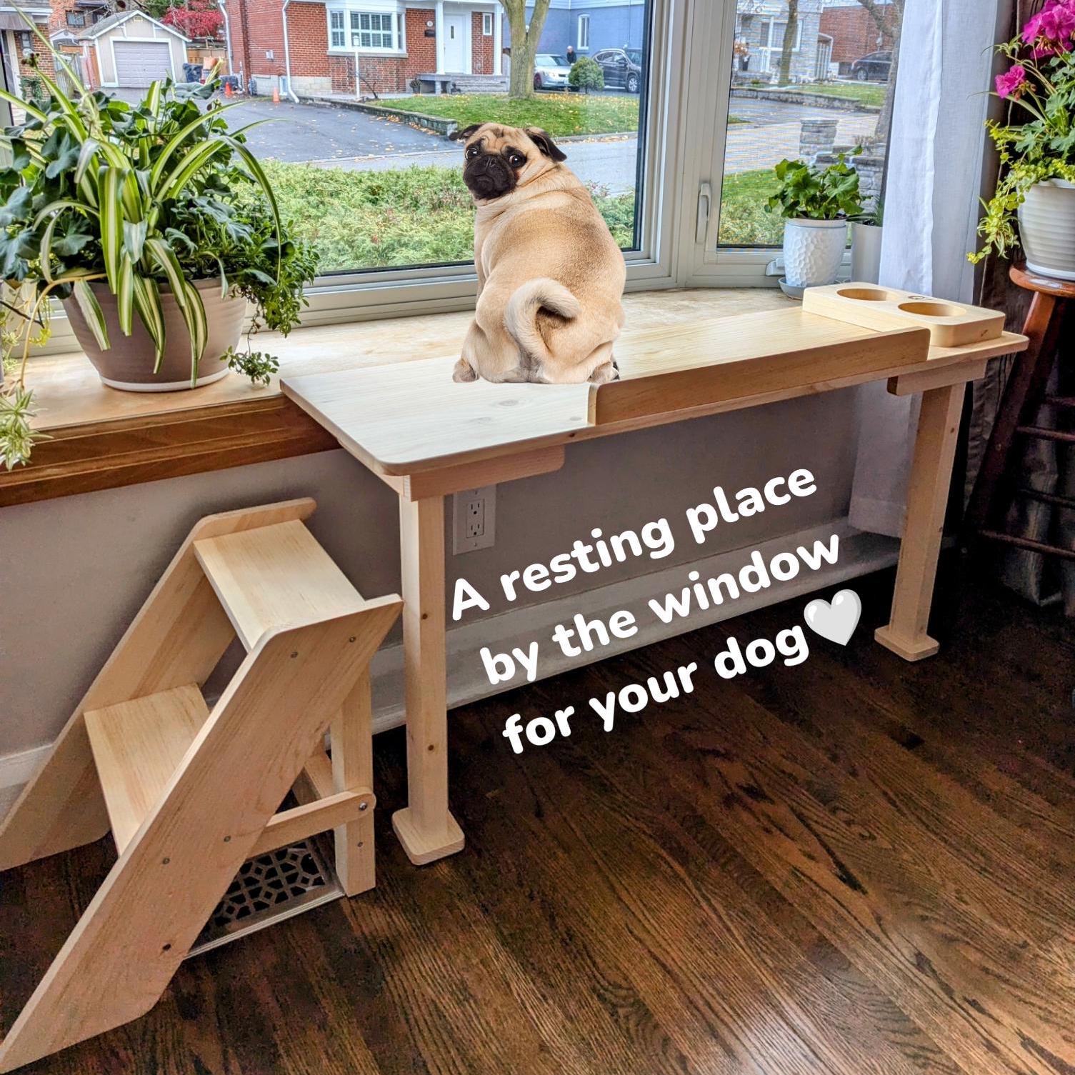 Dog Window Perch Winndow Seat for Pet Wooden Dog Furniture Windowsill ...