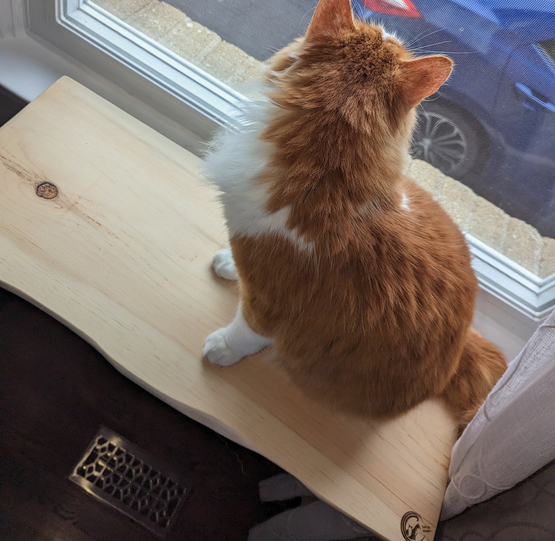 Cat Window Perch Wooden Cat Furniture Windowsill Natural Floating ...