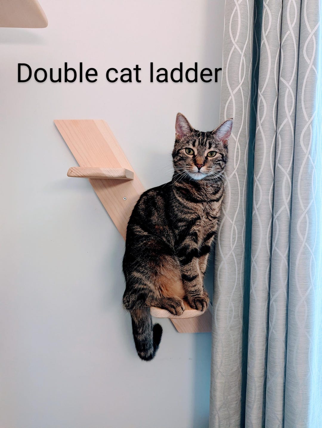 Wall Mounted Cat Ladder Solid Natural Wood 2-step Climbing Ladder for ...