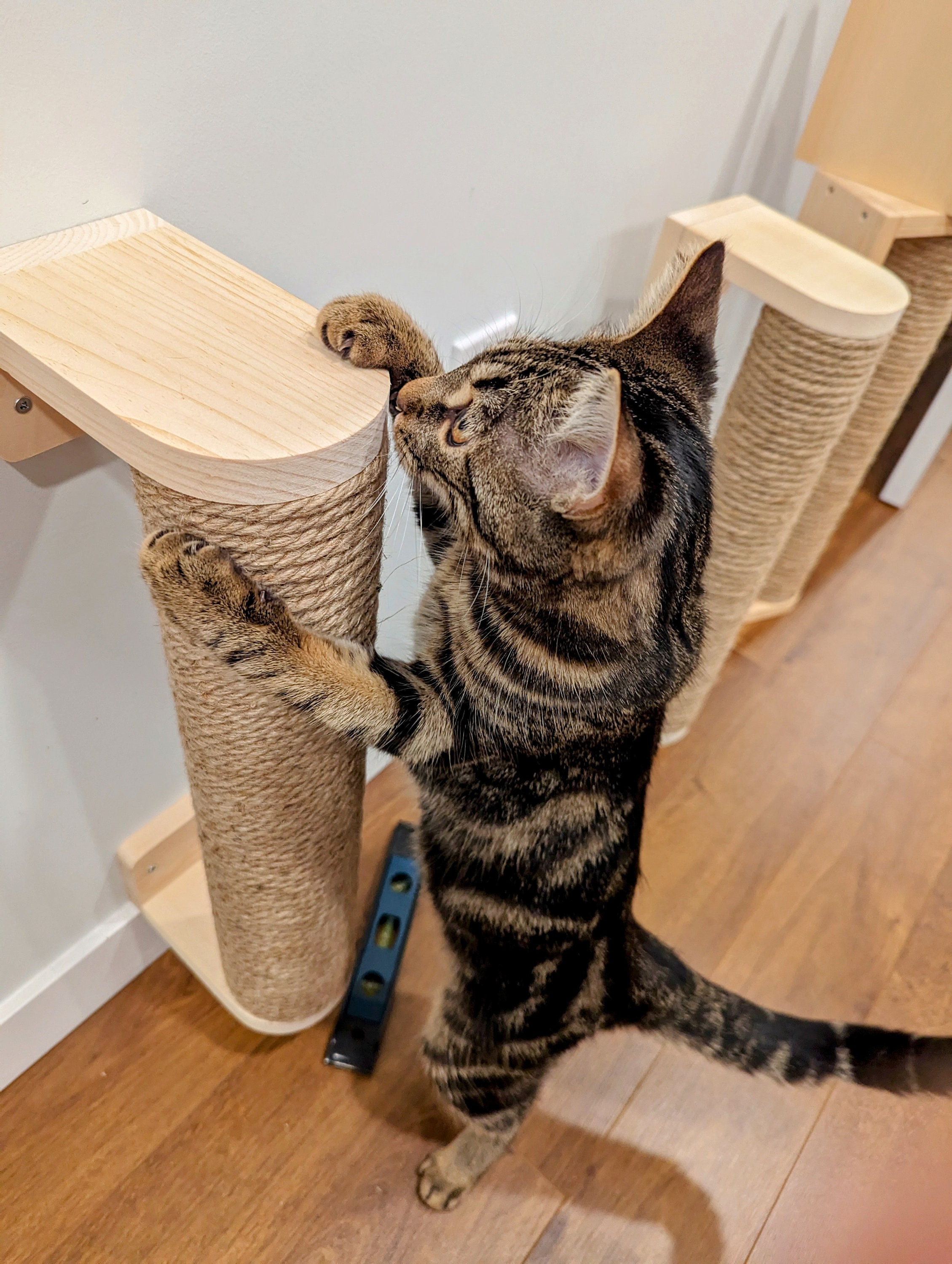 Cat Tree Furniture Wall Scratching Post Custom Modern Wooden Cat Tree ...