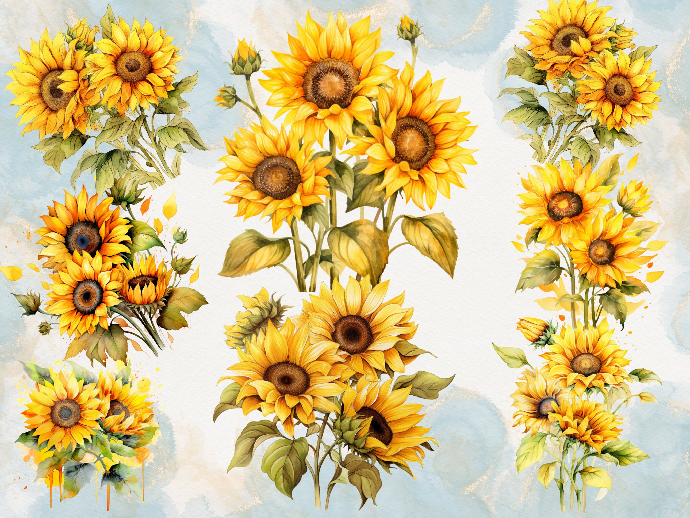 Watercolor Sunflowers Clipart Botanical Sunflower Clipart Watercolor ...