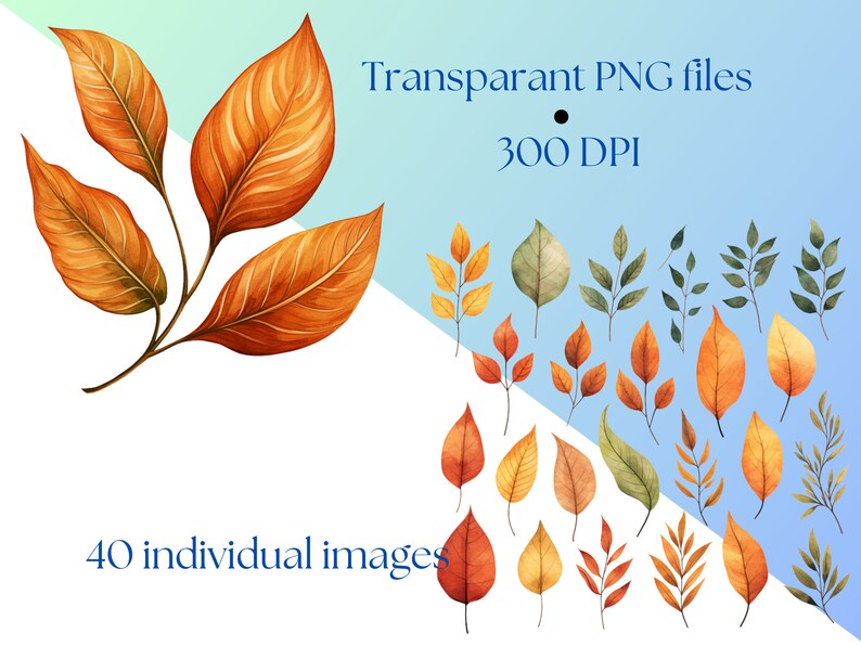 Autumn Leaf Clipart, Watercolor Clipart, Fall Season, Home Decor ...