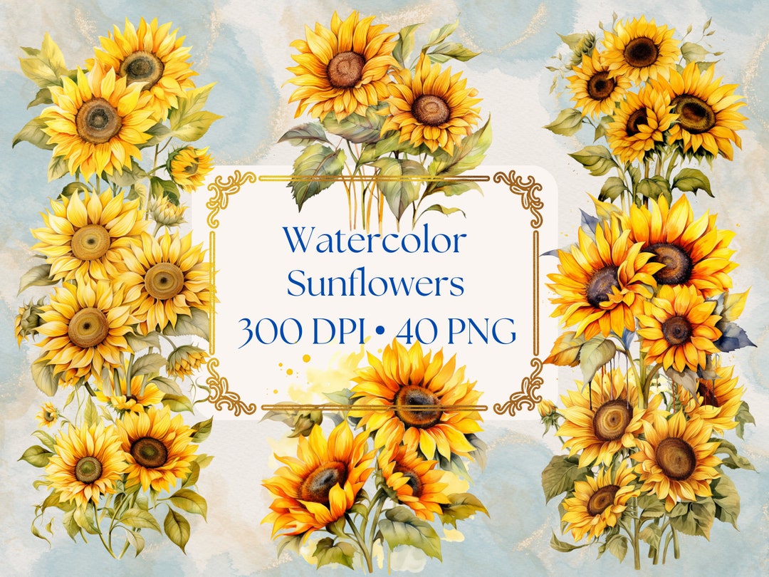 Watercolor Sunflowers Clipart Botanical Sunflower Clipart Watercolor ...