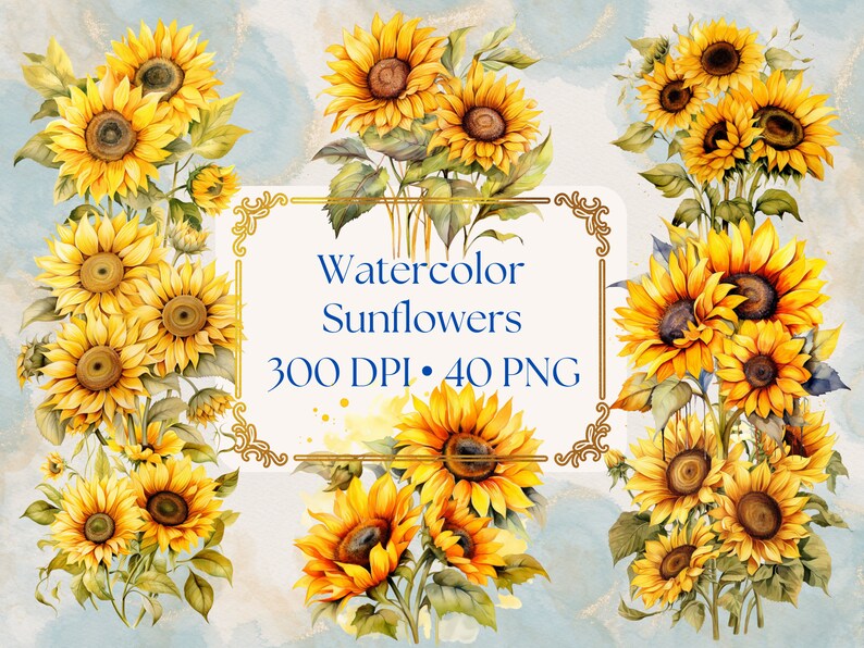 Watercolor Sunflowers Clipart Botanical Sunflower Clipart Watercolor ...