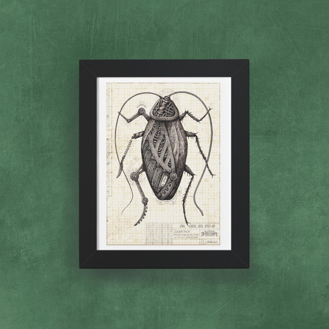 Steampunk Cockroach Wall Art With Frame, Dr. Killigans Cockroach Steampunk Insect Art ...