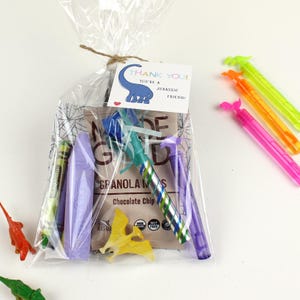 Dinosaur Party Favor Bag: Keychain, Coloring Page & Granola - Etsy
