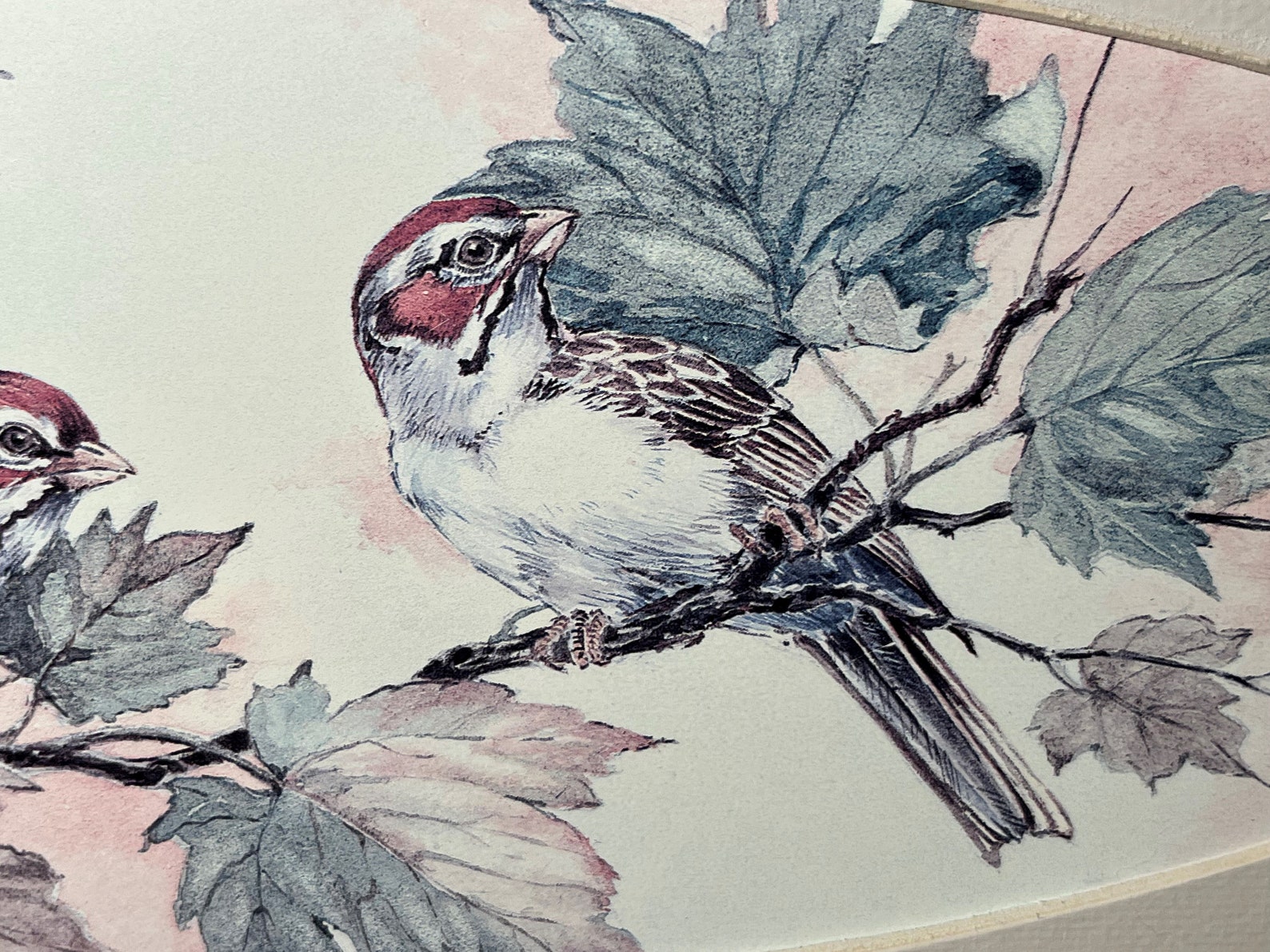 Signed Margo Nielson Print – Paired York Sparrows, 1986 Artist Proof - Etsy