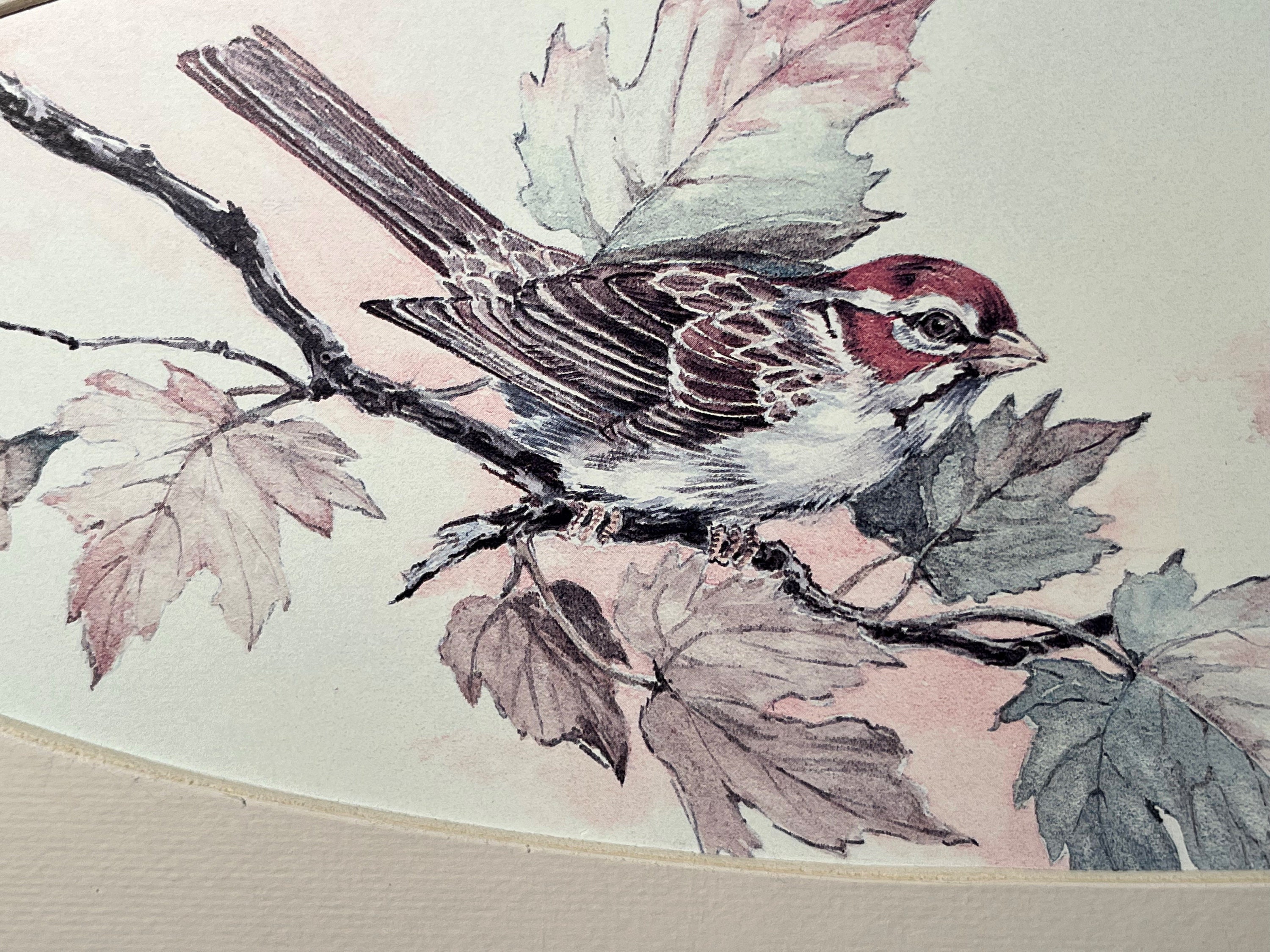 Signed Margo Nielson Print – Paired York Sparrows, 1986 Artist Proof - Etsy