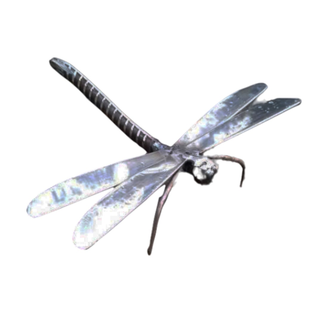 Dragonfly DIY Welding Kit Learn to Weld Practice Welding - Etsy
