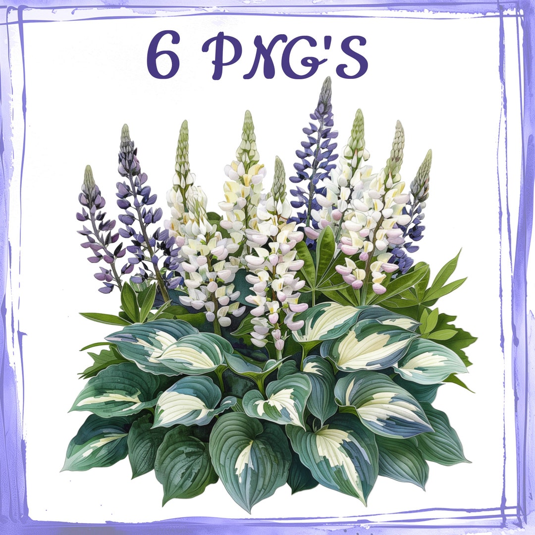 Hosta-bloom Plant Bundle, Watercolor Garden Flower Composition, Plants ...