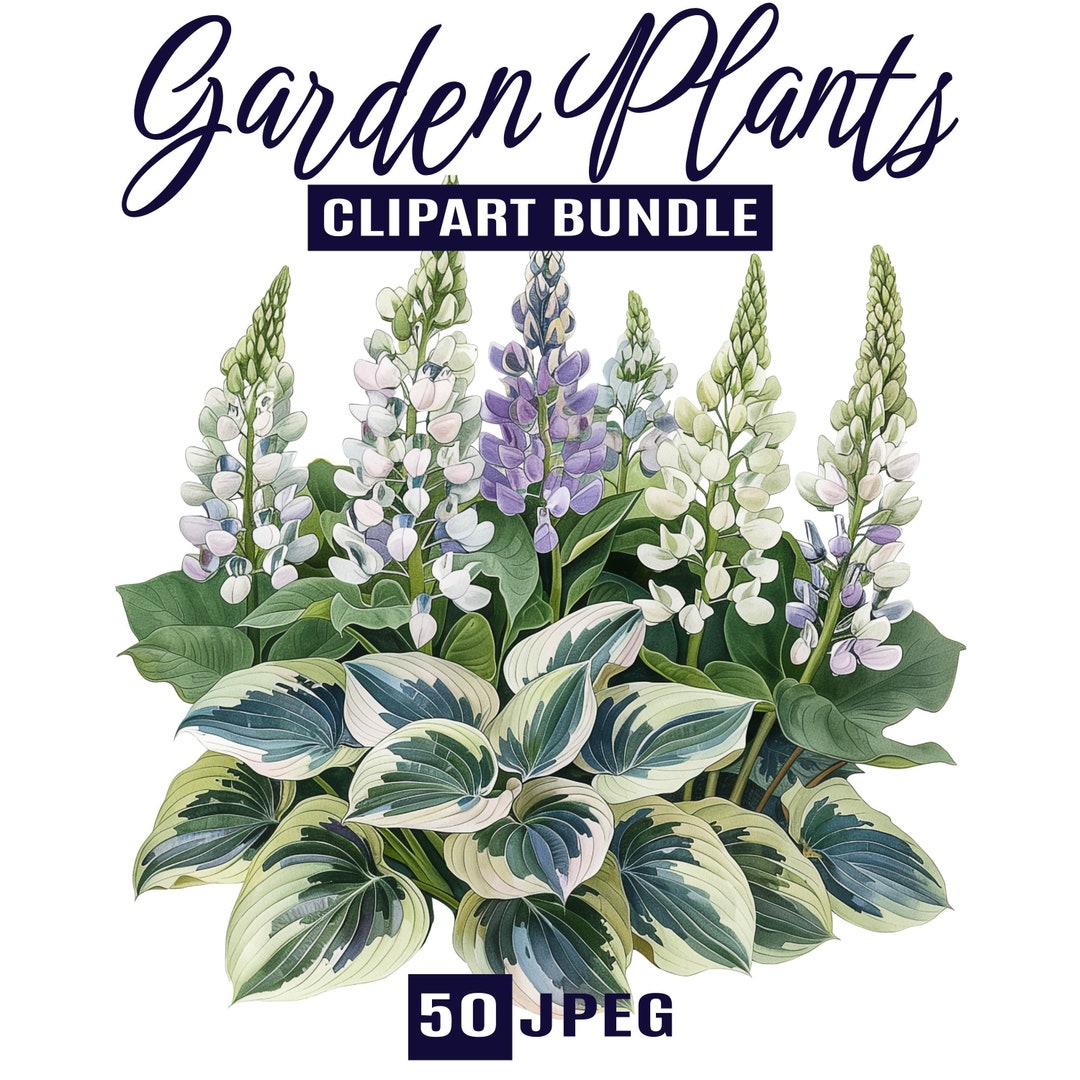 Garden Plants Clipart Pack, Watercolor Flower Composition, Plants ...
