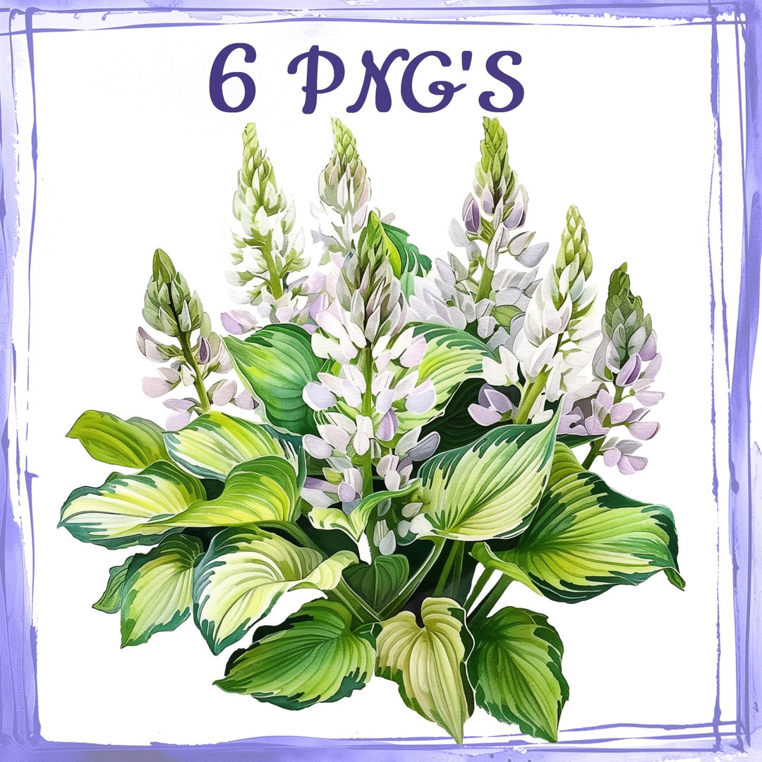 Hosta-lupin Sticker Pack, Watercolor Garden Flower Composition, Plants ...
