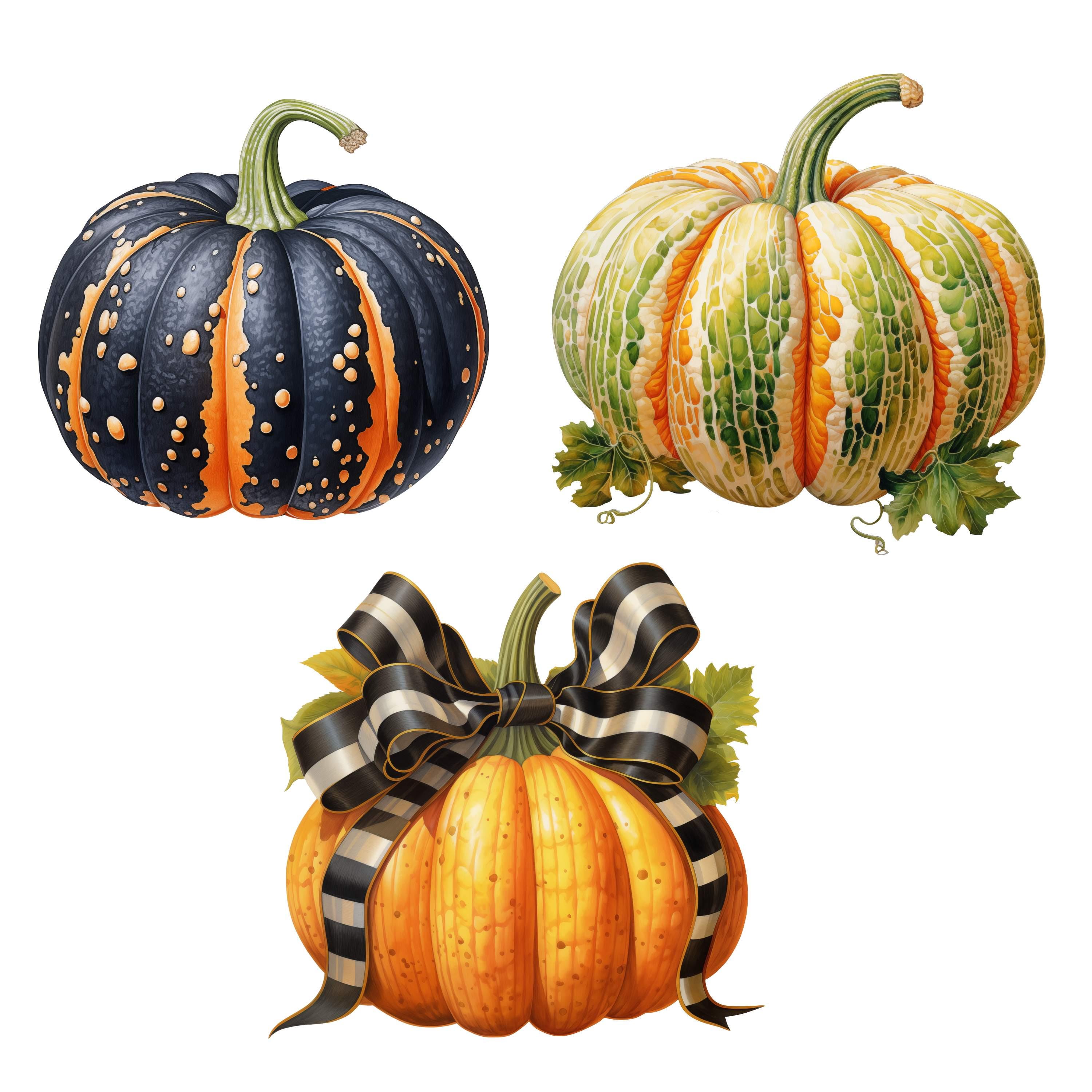 A Set of 30 Fall Pumpkin Clip Art PNG: Rustic Autumn Watercolor ...