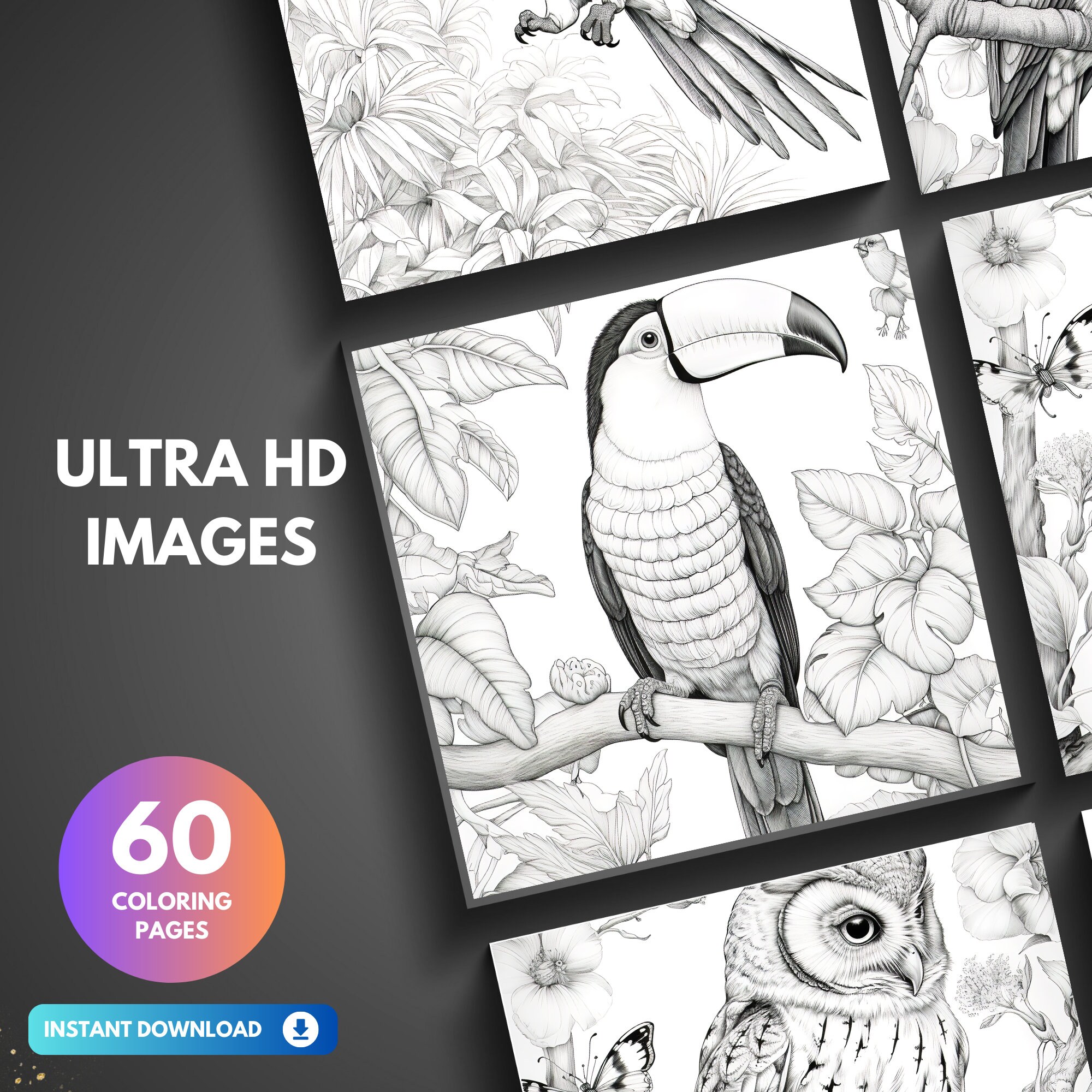 60 Bird Coloring Pages BONUS 10 Posters and Grayscale Versions / Super ...