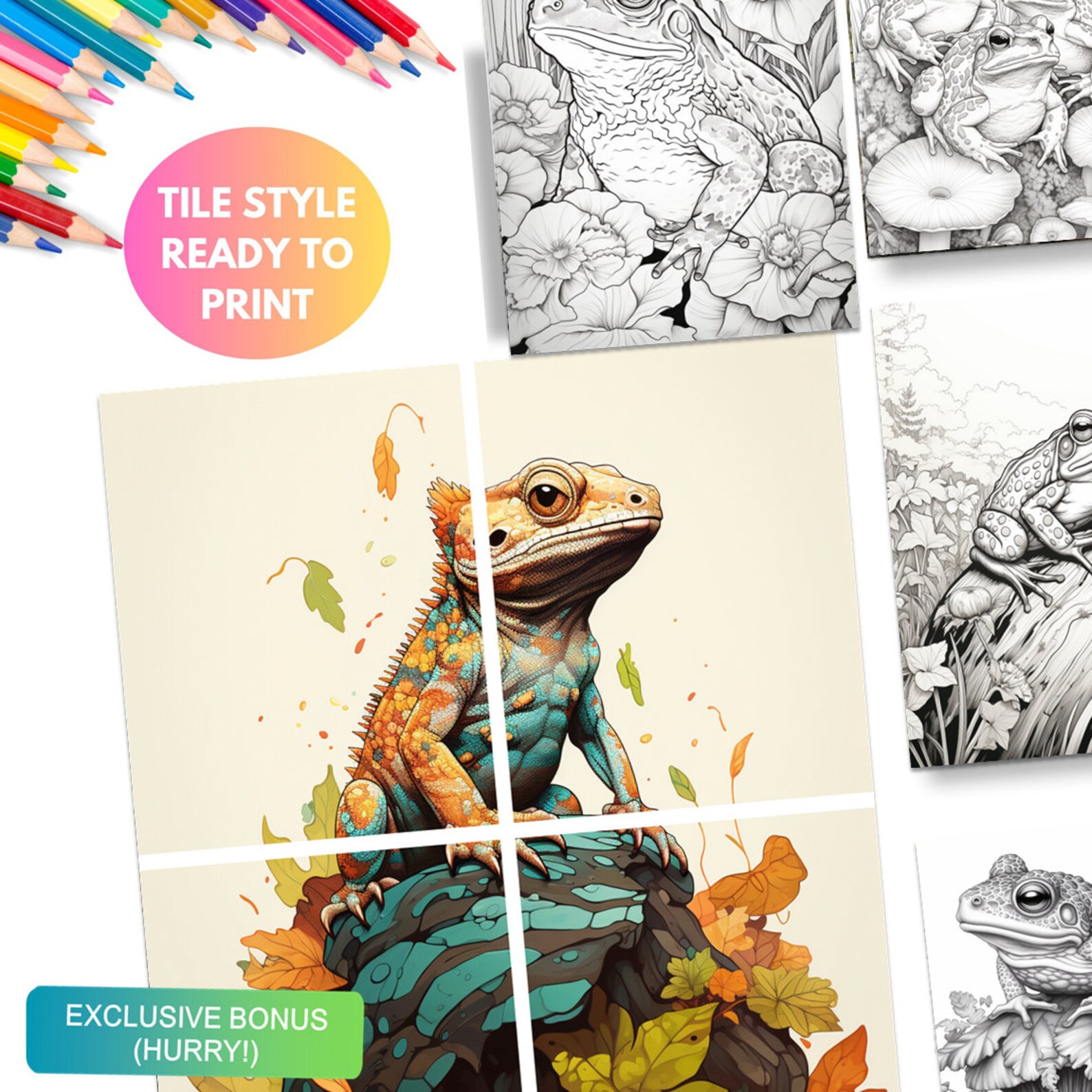 60 Frogs, Toads, Salamanders, Newts in the World of Amphibians Coloring ...