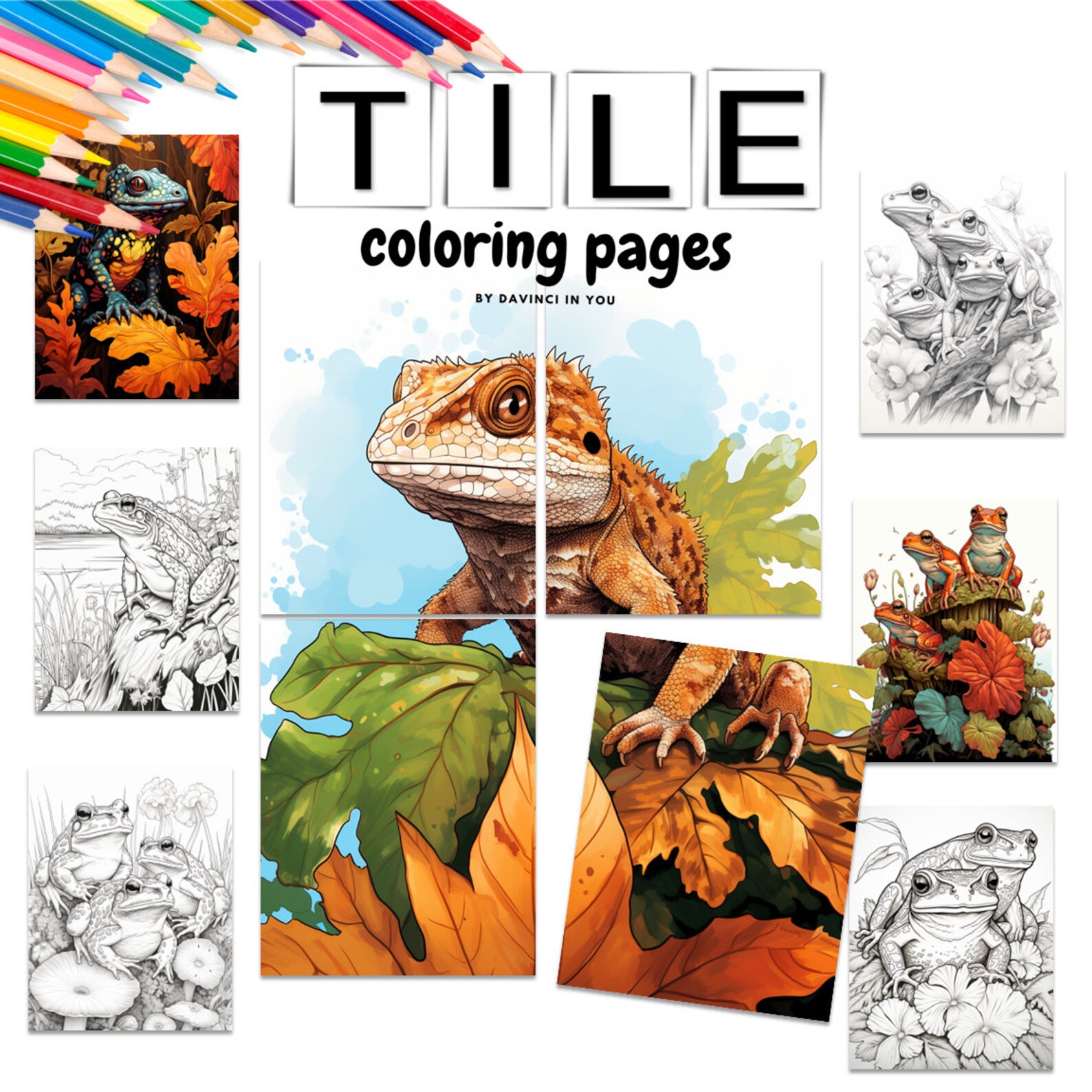 60 Frogs, Toads, Salamanders, Newts in the World of Amphibians Coloring ...