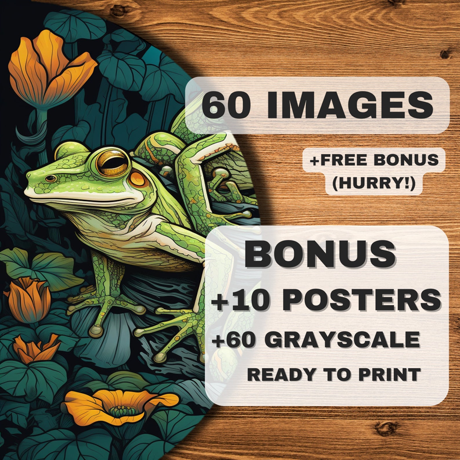 60 Frogs, Toads, Salamanders, Newts in the World of Amphibians Coloring ...