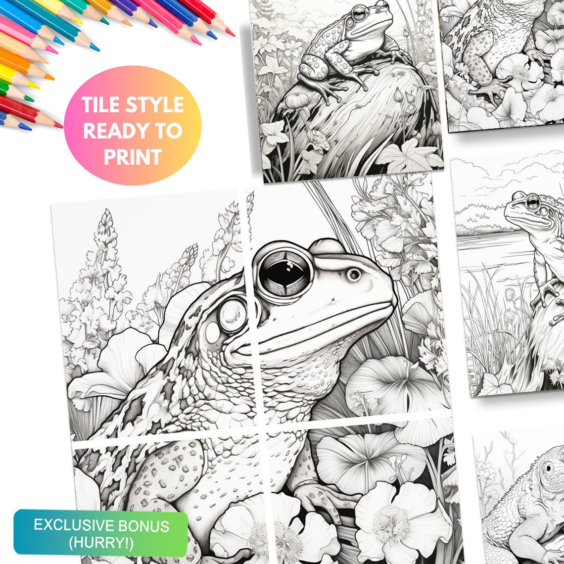 60 Frogs, Toads, Salamanders, Newts in the World of Amphibians Coloring ...