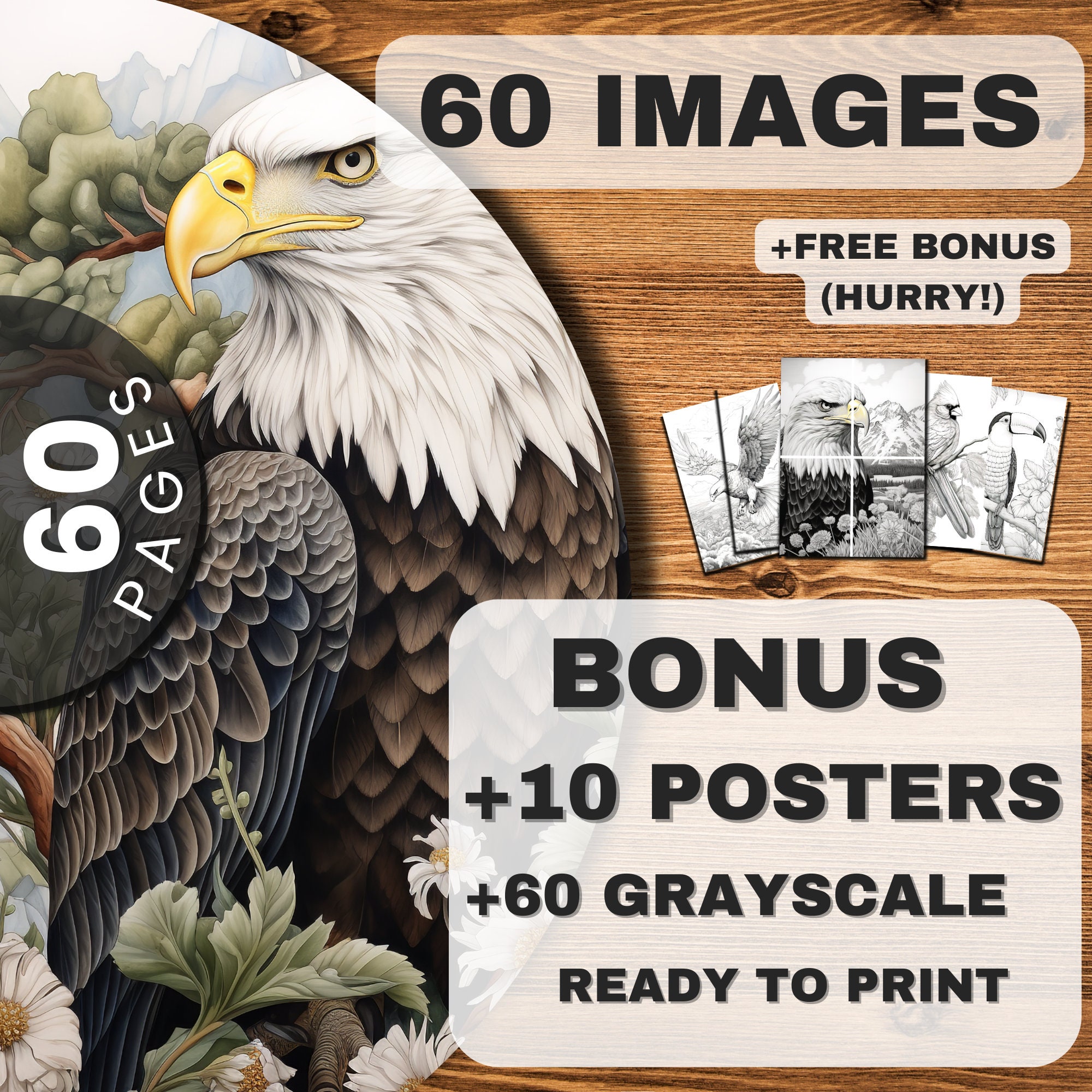 60 Bird Coloring Pages BONUS 10 Posters and Grayscale Versions / Super ...