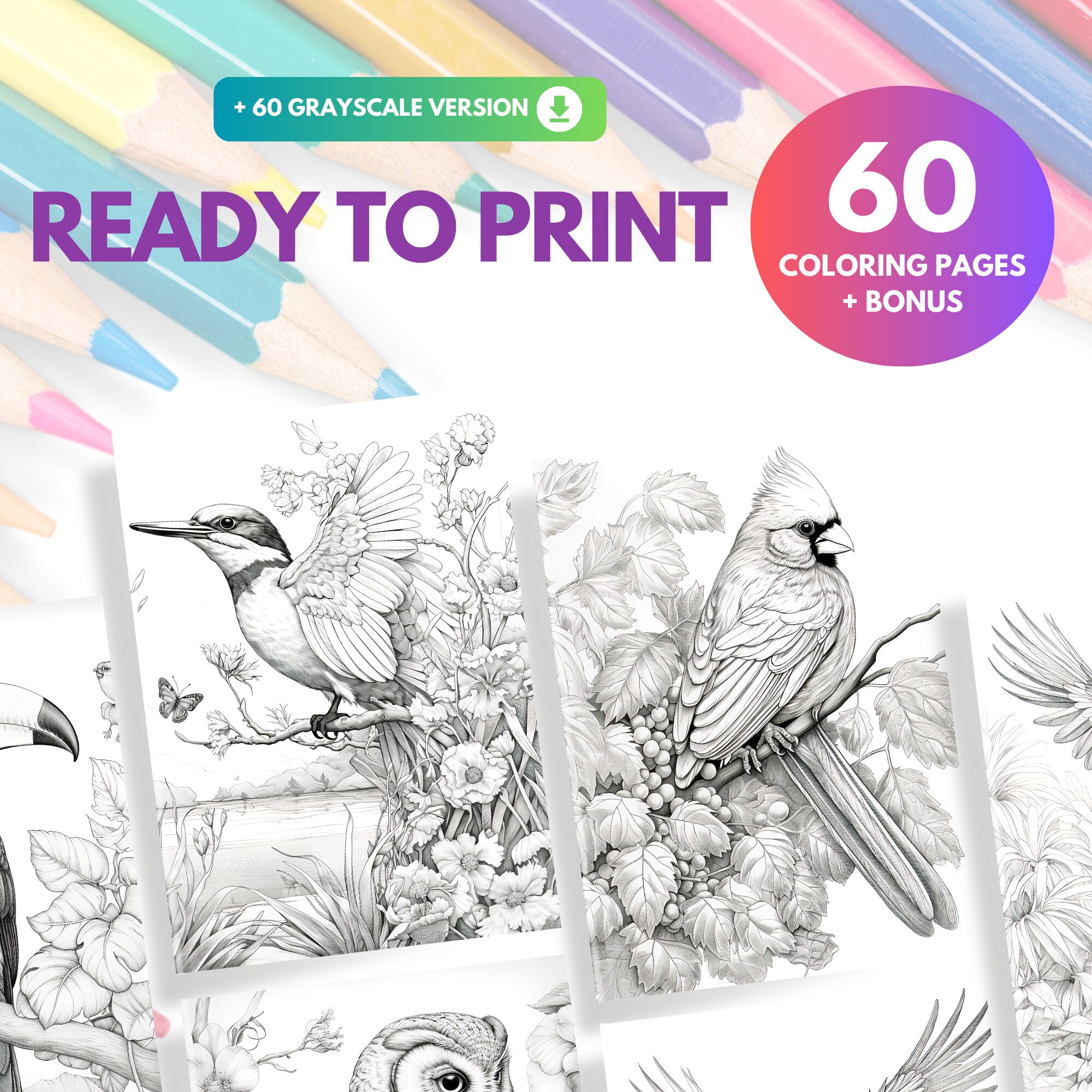 60 Bird Coloring Pages BONUS 10 Posters and Grayscale Versions / Super ...