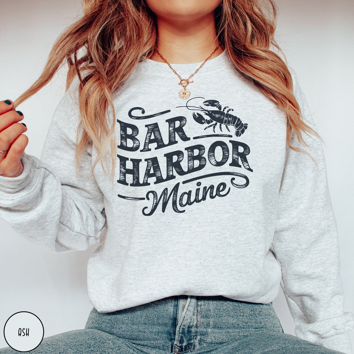 Bar Harbor Maine Sweatshirt Vintage Maine Traveler Sweater Acadia Park ...
