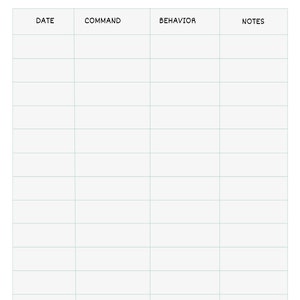 Printable Pet Care Planner, Fillable Pet Planner, Pet Sitter Notes ...