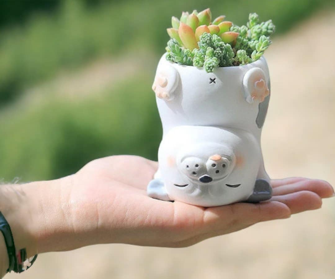 Cute Upside Down Animal Planters. Unique Animal Planter Home - Etsy