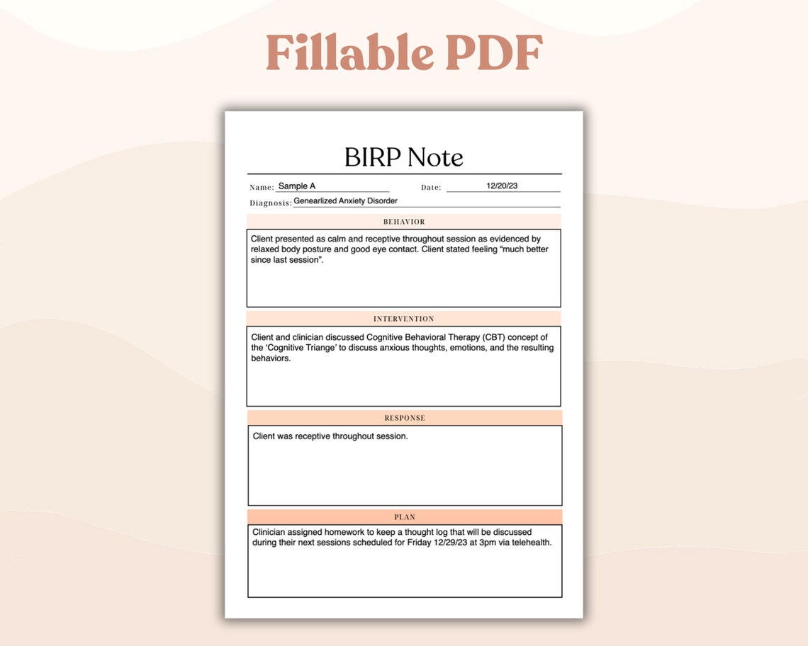 BIRP Note | Therapist Note Template | Therapy Note | Note Template for ...
