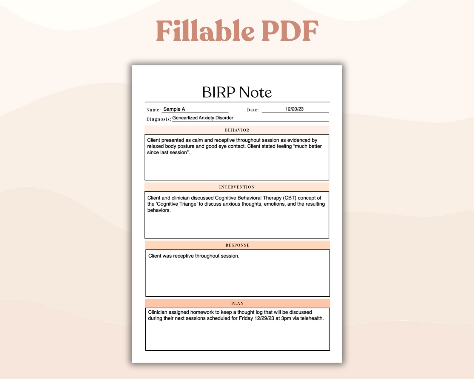 BIRP Note | Therapist Note Template | Therapy Note | Note Template for ...