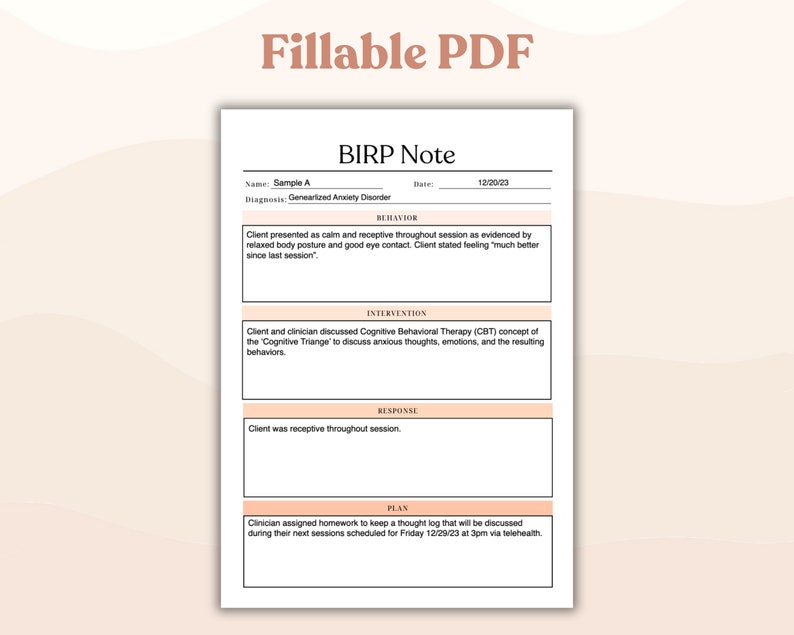 BIRP Note | Therapist Note Template | Therapy Note | Note Template for ...