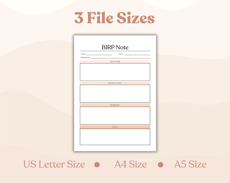 BIRP Note | Therapist Note Template | Therapy Note | Note Template for ...