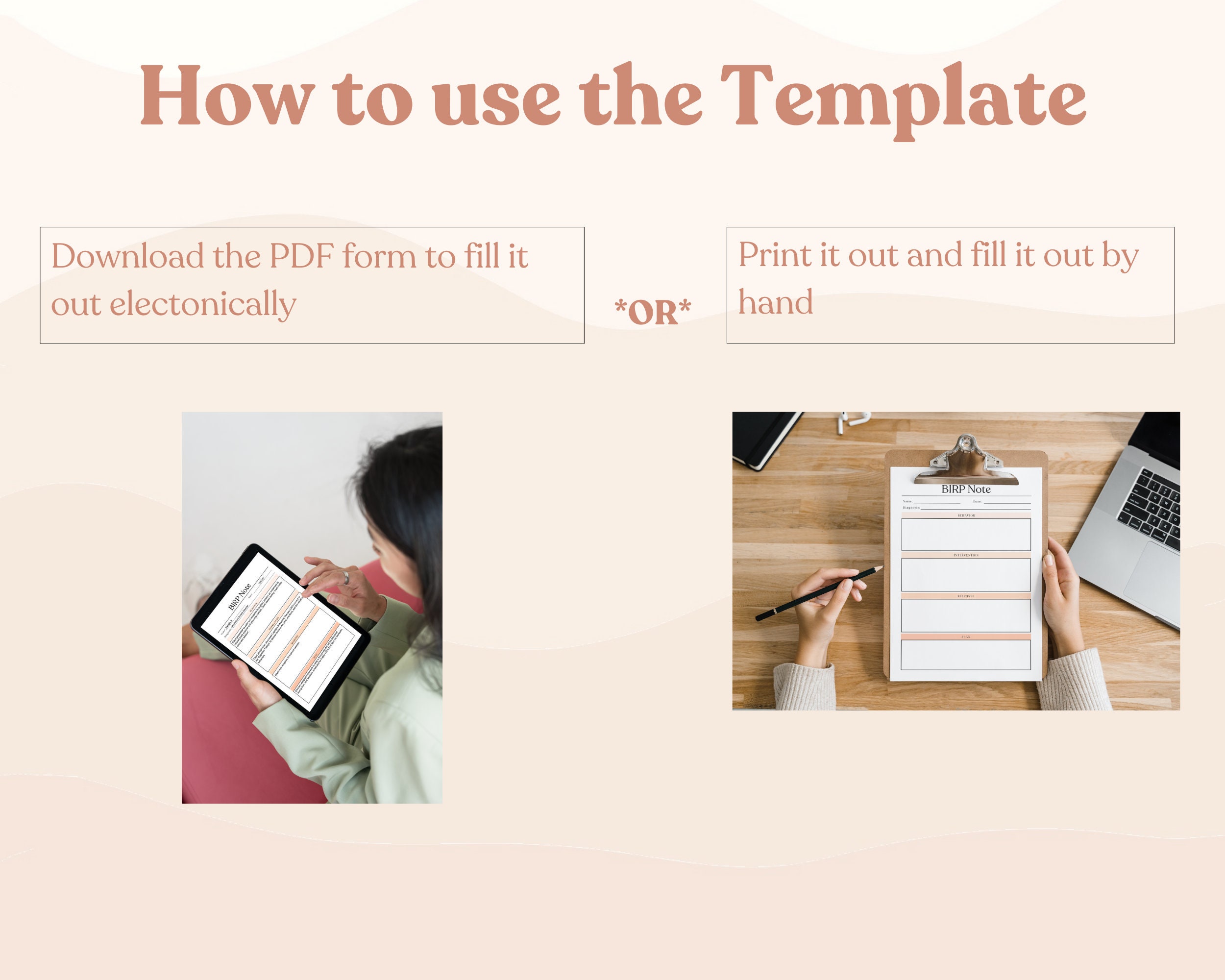 BIRP Note | Therapist Note Template | Therapy Note | Note Template for ...