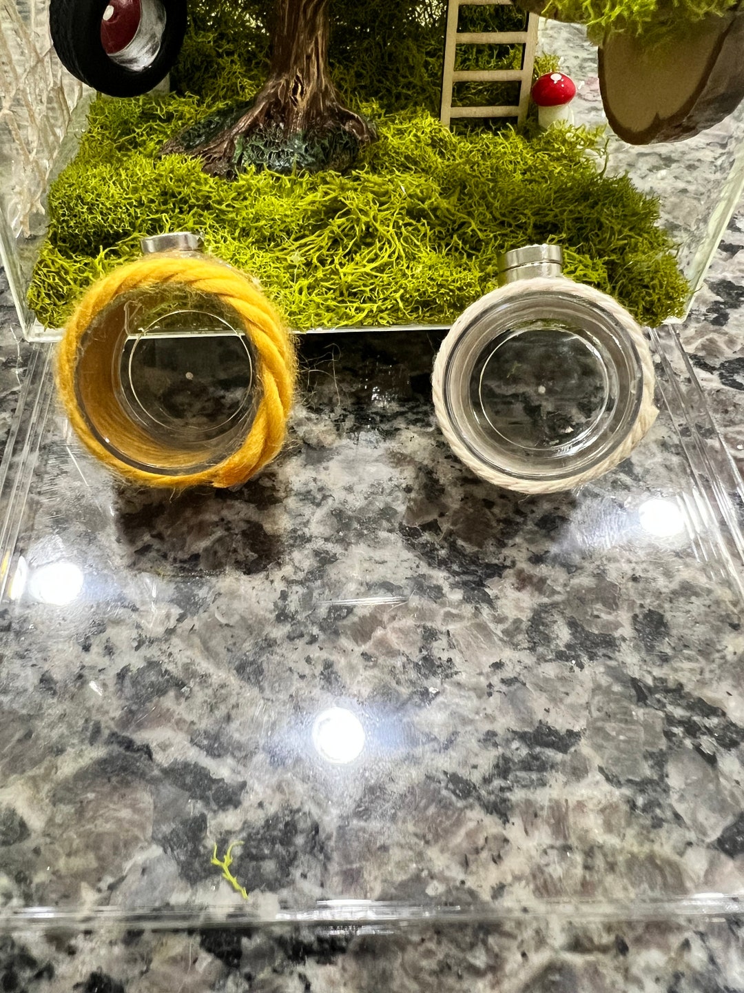 Jumping Spider Enclosure Hides - Etsy