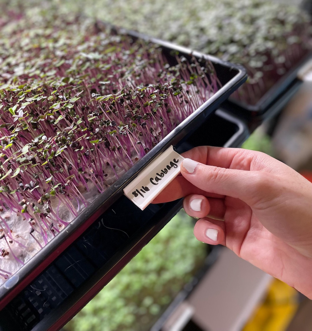 Microgreen Ez-lift Tray Labels With Dry-erase Labeling Surface Magnetic ...