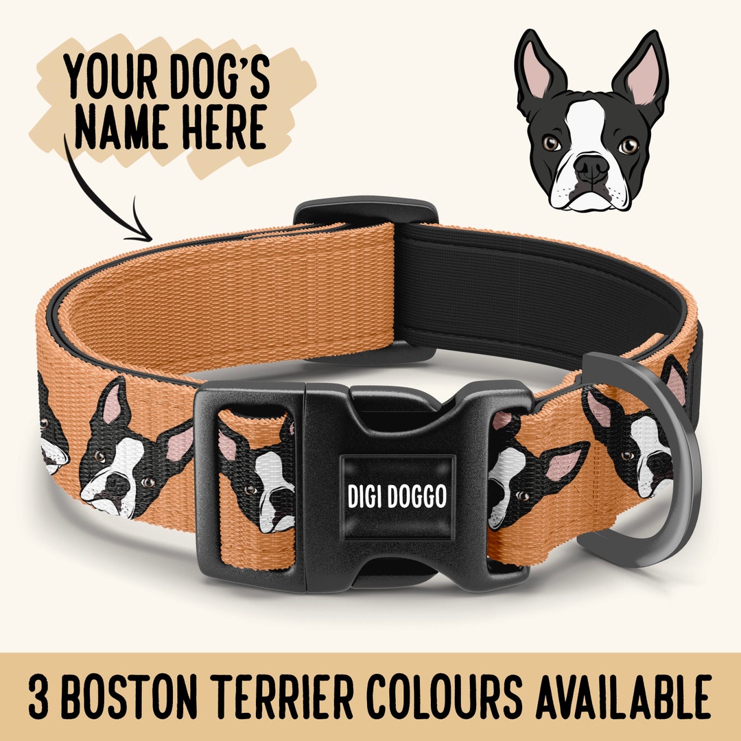 Personalized Boston Terrier Dog Collar: Custom Name Pet Collar - Etsy