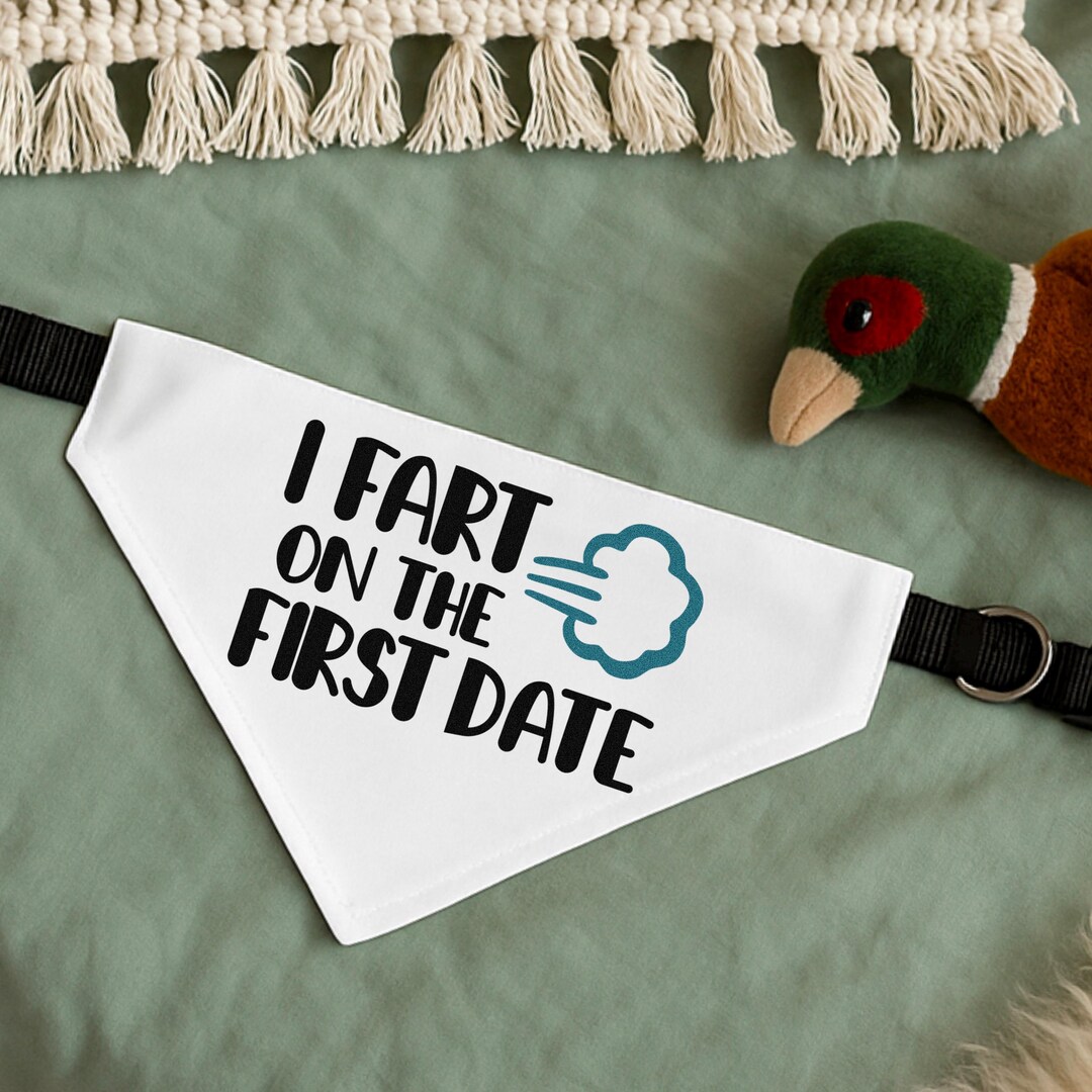 Funny Dog Bandana: "i Fart on the First Date" Quote, Buckle Closure - Etsy