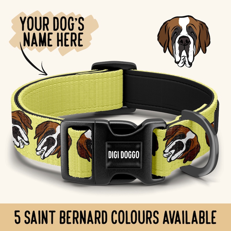 Saint Bernard - Etsy